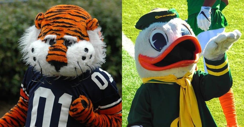The 10 Best College Mascots - Campus Insiders